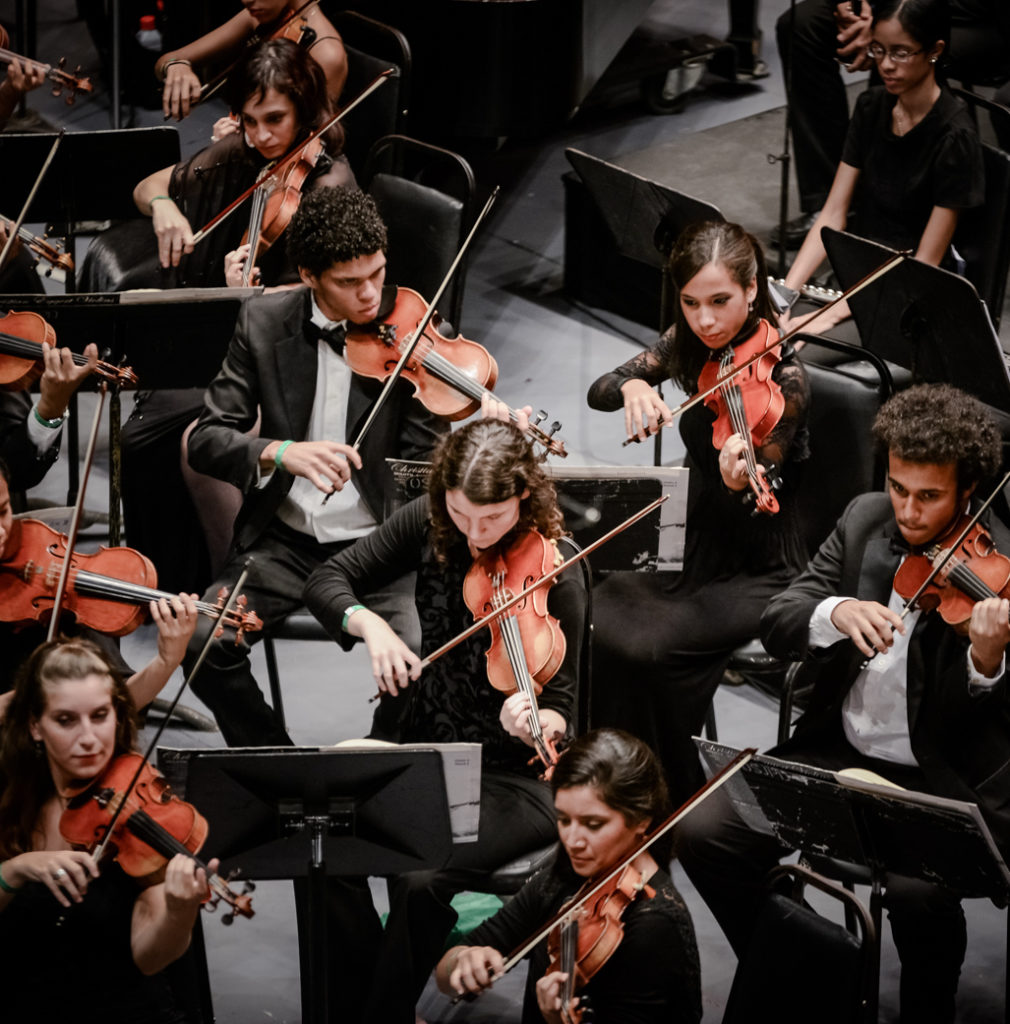 Orchestra of the Americas Group